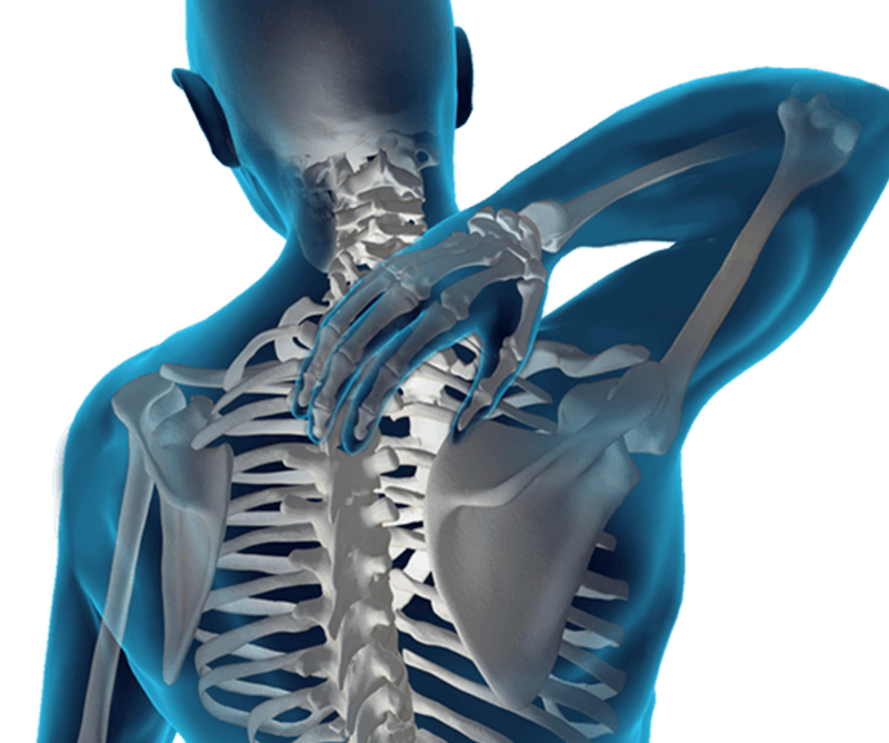 Physio home | physio